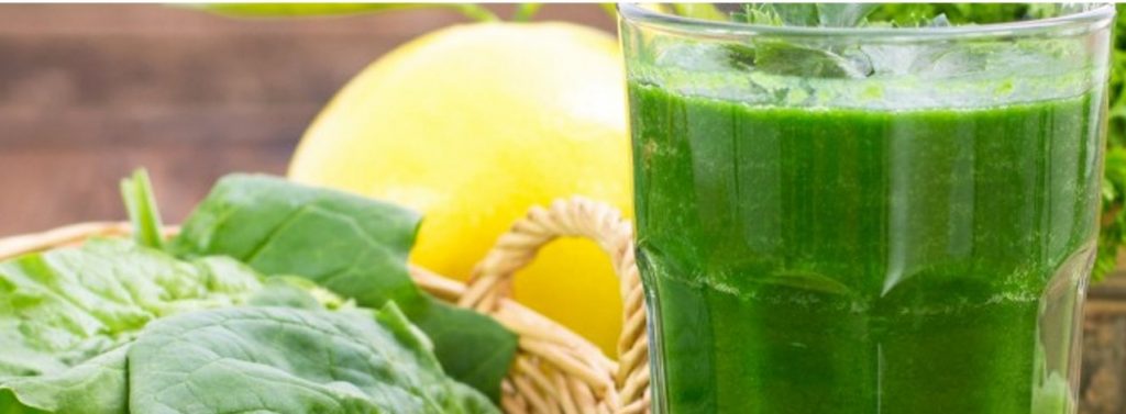 marque-zen-&-pur - Natureo bio