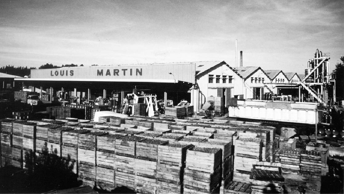 Louis Martin : Conserverie, sauces tomates