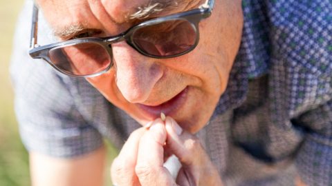 Ekibio : Produits biologiques et écologiques issus du végétal