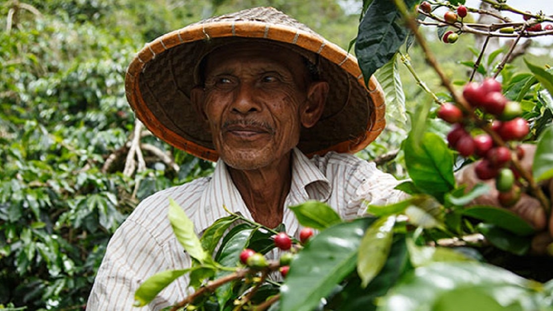 La Chocolaterie Castelain : Chocolaterie