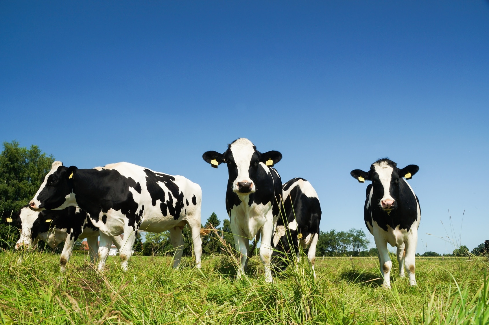 Grandeur Nature, la bio de toutes vos envies